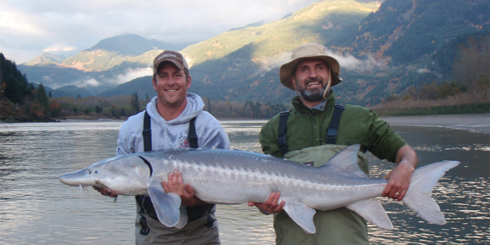 Presentation on Fish, Fishing and Aquariums of North America | Blue ...